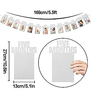 1st Birthday Baby Photo Banner - Perfect 1-12 Month Photo Prop Garland Bunting Baby Shower Party Decoration Glitter Silver