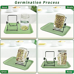 Sprouting Kit, Sprouts Growing Kit with 4 Screen Sprout Lids, 2 Stands, Tray, Blackout Sleeve, Stickers and Brush for Bean, Broccoli, Alfalfa Sprouts (No Manson Jar)