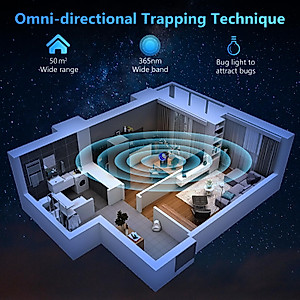 FVOAI Fly Trap Indoor, Fruit Fly Catcher Mosquito Killer Insect Trap with Sticky Glue Boards (Pink)