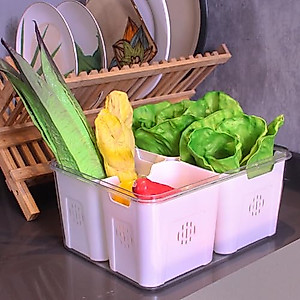 Fruit Storage Containers for Fridge with Lid: Produce Food Fresh-Keeping Colanders with Handles, Refrigerator Organizer Corn Pepper Berry Vegetable Veggies Fruits Saver with 4 Compartments Storage