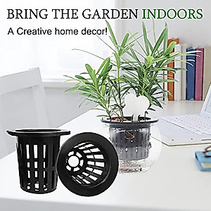 Tmtamye 100 Pack 2 inch Net Pots Hydroponics Supplies Cups, Round Wide Lip Design Orchids Aquaponics Garden Slotted Mesh Heavy Duty Net Pot with 20Pcs Plant Labels