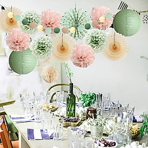 Sage Green and Blush Pink Party Decorations Paper Lanterns Sage Green Cream Paper Fans Light Pink Tissue Paper Pom Poms for Sage Green and Dusty Pink Birthday Baby Shower Bridal Shower Wedding