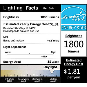 DragonLight 15W Super Bright LED Corn Light Bulbs Fanless(150 Watt Equivalent) - 6000K Daylight 1,800 Lumens E26 Base for Residential and Commercial Lighting - Garage Porch Office, Pack of 4