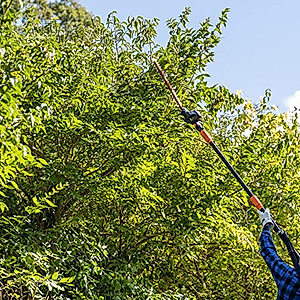 Scotts LPHT12122S 20-Volt 22-Inch Cordless Pole Hedge Trimmer, 2.0Ah Battery and Fast Charger Included