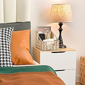 GRANNY SAYS Wicker Basket with Handles, Trapezoid Decorative Woven Baskets, Waterproof Wicker Storage Baskets for Shelves, Wicker Baskets for Organizing, Butter Milk, 2-Pack