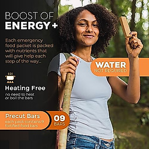 SOS Food Rations Emergency 3600 Calories Cinnamon Flavor Food Bar - 3 Day / 72 Hour Package with 5 Year Shelf Life- 1 Pack