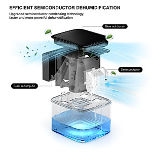 Dehumidifier, HSECPTOW 42 OZ Dehumidifier for Home, Quiet Small Dehumidifiers for Bedroom(360 sq.ft) Bathroom Closet with Auto Shut Off, 7 Colors Light