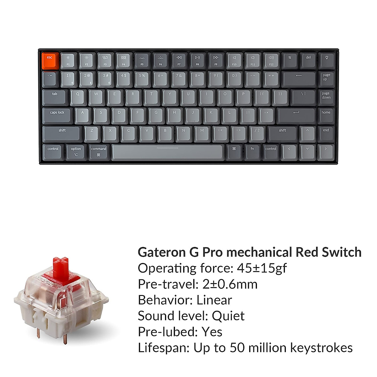 Keychron K2 75% Layout Bluetooth Mechanical Keyboard with Gateron G Pro Red Switch/White LED Backlit/Anti Ghosting/N-Key Rollover/Compact 84 Key USB C Wired Computer Keyboard for Mac Windows-Version 2