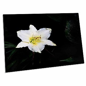3dRose White Day Lilly Rising Out of Shadows - Desk Pad Place Mats (dpd-336453-1)