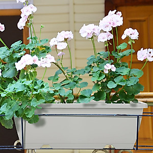 Whonline 8 Pack Window Planter Box, 17 Inches Plastic Window Boxes Rectangular Flower Vegetable Planters with Drainage Holes and Saucers for Indoor Plants Outdoor Garden Patio (Light Gray)