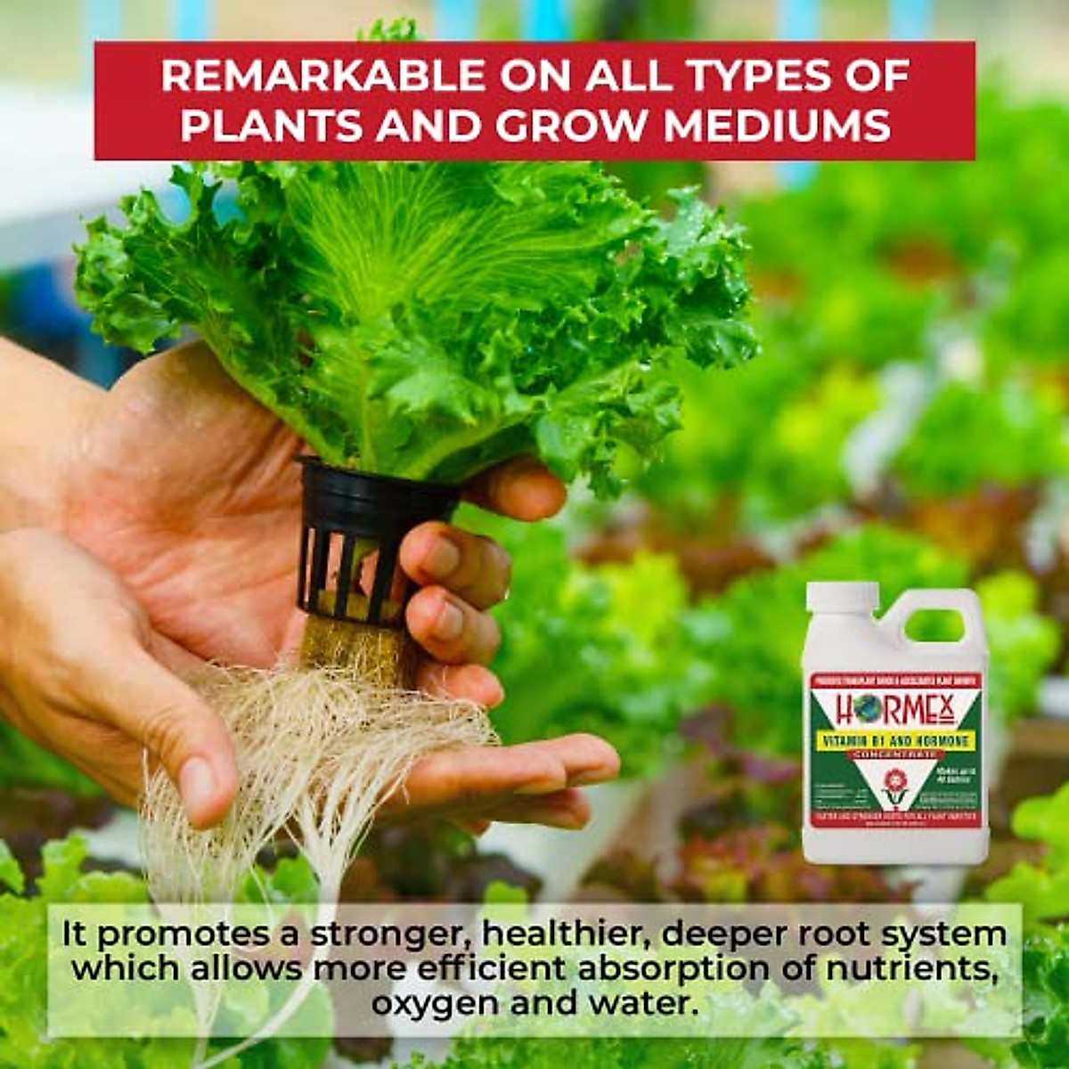 Hormex Vitamin B1 Rooting Hormone Concentrate - Rooting Hormone for Hydroponics, Aeroponics, Established Plants, Cuttings and More, Indoor and Outdoor Plant Growth Stimulator Concentrate - (8oz)