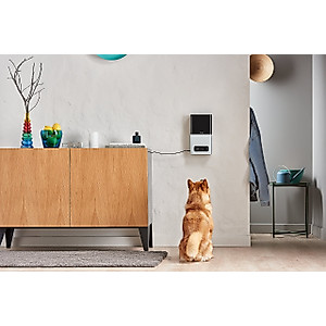 [2017 Item ] Petcube Bites Pet Camera with Treat Dispenser: HD 1080p Video Monitor, 2-Way Audio, Night Vision, Sound and Motion Alerts. For Dogs and Cats, Matte Silver (PB913NVTD)