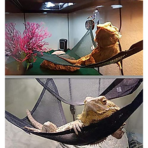 Lucky Interests 6 pcs Reptile Hammock Lounger, Lizard Hammock with Strong Suction Cup Triangle Bearded Dragon Lounger for Iguanas Geckos Lizards Anoles Snakes with 6 Reptile Food Bowl (Green, Black)