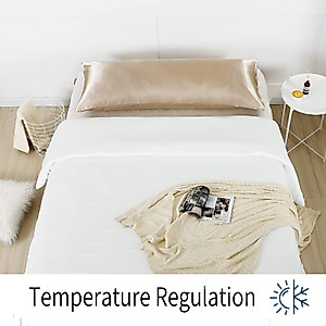 LCBD Satin Body Pillow Case for Hair and Skin, Taupe Silk Satin Body Pillow Case Cover, 20x54 Body Cooling Pillow Cover with Envelope Closure