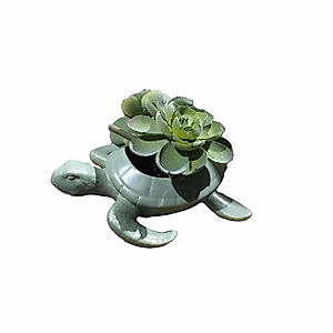 Comfy Hour Ocean Voyage Collection 9" Sea Turtle Succulent Planter Flower Bud Pot Decorative Small Plant Vase, Palegreen, Dolomite