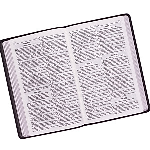 KJV Holy Bible, Gift Edition Faux Leather, King James Version, Black