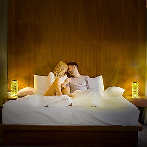 BGFHome Crystal Table Lamp RGB Color Changing Night Light ，Romantic LED Rose Diamond Touch Lamps for Living Room Housewarming Gift ( Remote & Touch