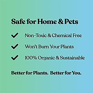 Home Jungle - Canopy Mist Organic Foliar Spray Fertilizer for Indoor Houseplants - Formulated to be Safe for All Plants, Pets, and Family.