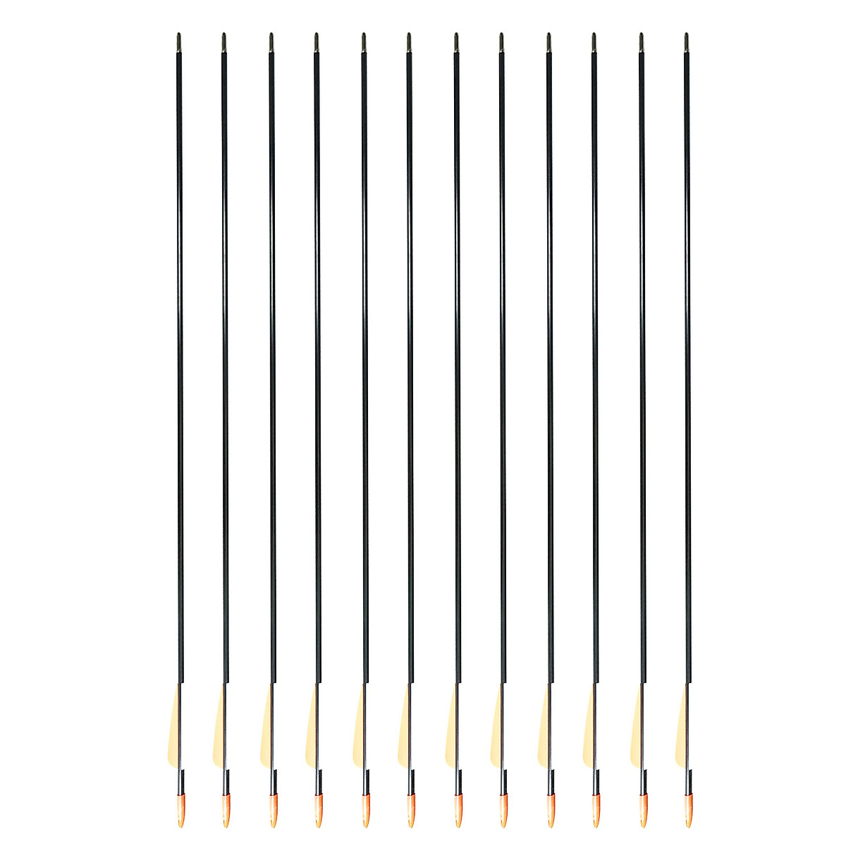 SAS Fiberglass Archery Arrow 28" with 3" Vanes + Coat Head + Plug Nock for Youth Target Practice Recurve Compound Bow Shooting Recreation Kid Range (Black 12/Pack)