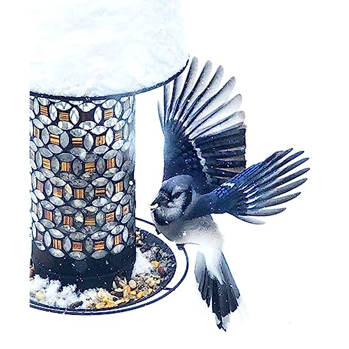 Valley Farms Woodpecker Mix with Sunflower Hearts - No Mess No Waste Wild Bird Food (15 LB)