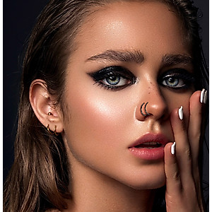 Staligue Double Nose Ring for Single Piercing 20G Spiral Nose Ring Surgical Steel 6MM 8MM 10MM 12MM Double Nose Hoop Piercing Jewelry (8MM)