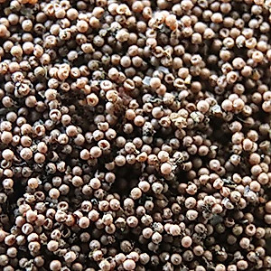 Greenwaterfarm Triops Red Longicaudatus Eggs for Hatching and Culture Suitable to be Pet and Science Project (Pure 200 Eggs)