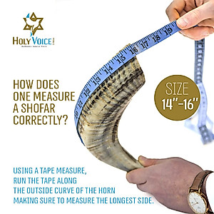 Handcrafted Kosher Ram Shofar from Israel – 14"-16" Musical Horn with Shofar Bag – Decorative, Functional Jewish Gifts for Women & Men by Holy Voice, Half Polished