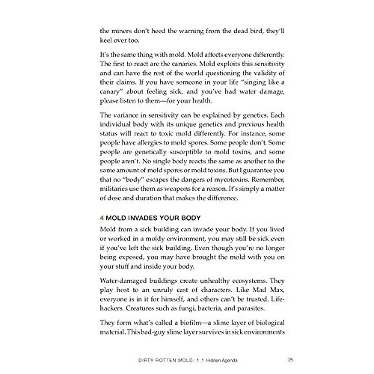 Break the Mold: 5 Tools to Conquer Mold and Take Back Your Health