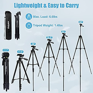 Endurax 60'' Camera Tripod Camera Stand for Canon Rebel Eos Nikon DSLR, Travel Tripods for Phone Tablet with Remote