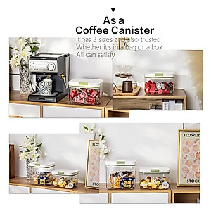 LivLab Rice Dispenser - with Measuring Cup Grain Container Bin for Kitchen Pantry Storage, BPA Free,4.5 L/4.6qt/5kg