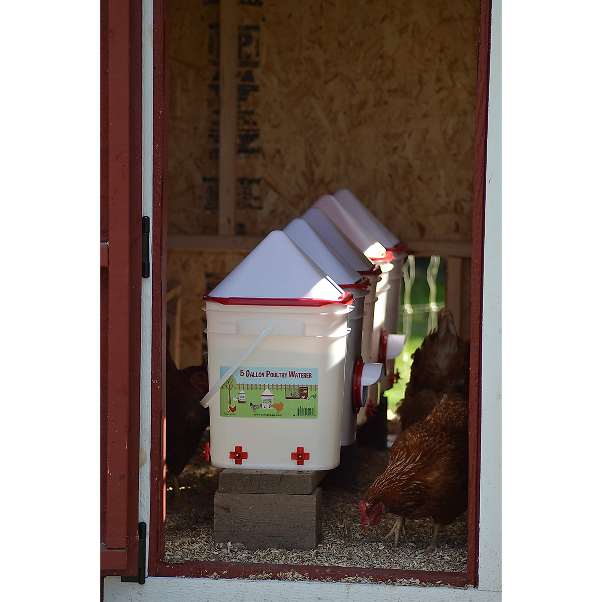 RentACoop 5 Gallon Chicken BPA-Free Plastic Bucket Waterer Set with 4 Horizontal Nipples - Corner Placement