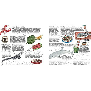 Markets: A World to Discover