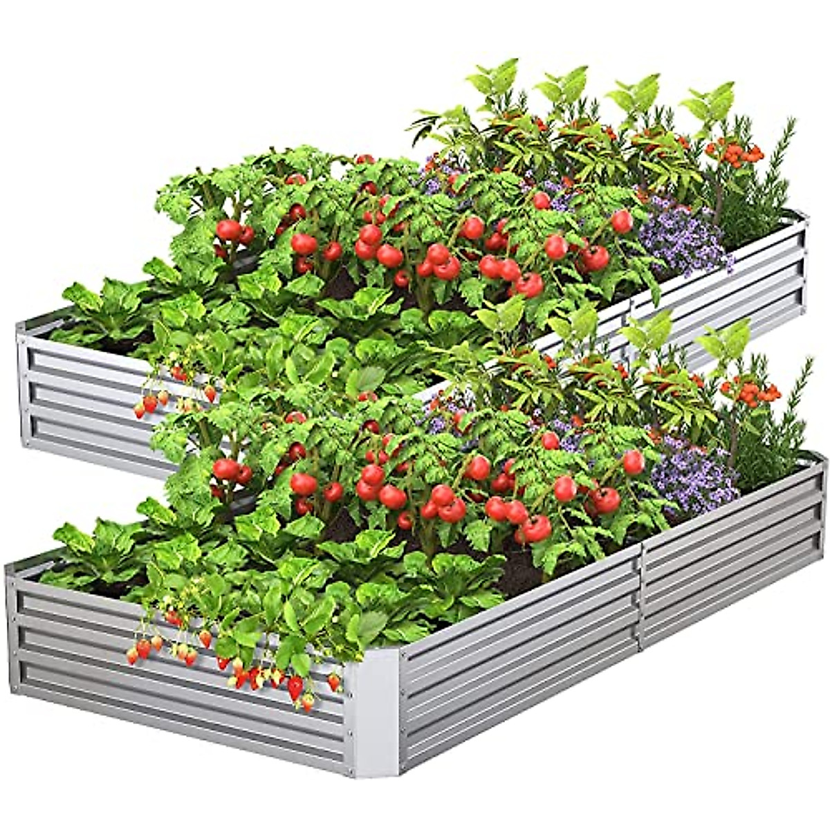 Mr IRONSTONE 2 pcs 6x3x1ft Galvanized Metal Raised Garden Bed for Vegetables, Outdoor Garden Raised Planter Box, Backyard Patio Planter Raised Beds for Flowers, Herbs, Fruits