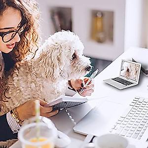 ebuddy Mini Dollhouse Toy Cat Laptop Tiny Fake Computer Mirror for Cat (White)