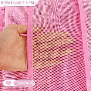 Hanging Closet Organizer, Dual-Sided 30 Pockets Wall Shelf Wardrobe Storage Bags for Underwear, Stocking, Bra and Sock, Mesh Pocket with Metal Hanger - Pink