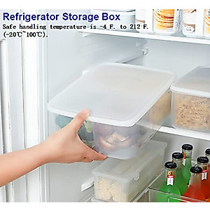 KNC Food Storage Containers with Lids Airtight,Reusable Fresh Produce Fruit Storage Organizer, Refrigerator Food Fresh Box with 4 detachable small boxes for Storing Fish, Meat, Vegetables,Grain