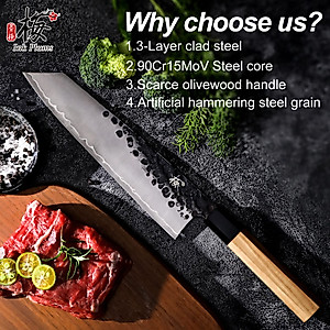 Ink Plums 9 Inch Kitchen Kiritsuke Chef Knife, High Carbon Stainless Steel With Professional Hand Forged Cooking Knife, (Olivewood Handle & Gift Box)