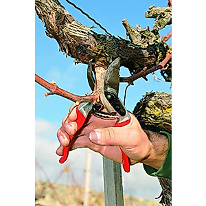 Felco Pruning Shears (F 6) - High Performance Swiss Made One-Hand Garden Pruners - 100052385