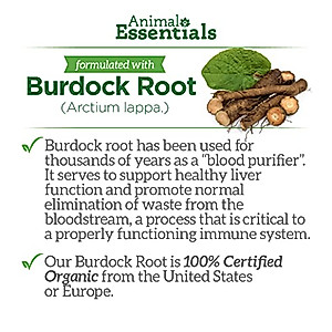 Animal Essentials Seasonal Allergy Herbal Supplement for Dogs & Cats, 2 fl oz - Made in the USA, Sweet Tasting Allergy Relief