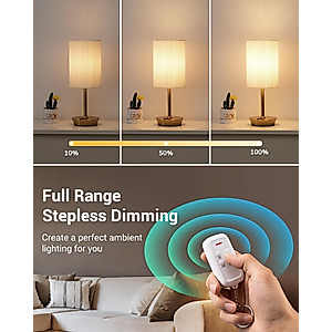 DEWENWILS Remote Control Light Socket with Dimmer, Wireless Light Switch, Dimmable Remote Light Bulbs Socket Switch, 100FT, E26 E27 Base with Controller, No Wiring, for Closet, Basement, ETL Listed