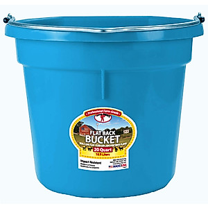 Little Giant® Flat Back Plastic Animal Feed Bucket | Animal Feed Bucket with Metal Handle | Horse Feed & Water Bucket | 20 Quarts | Teal