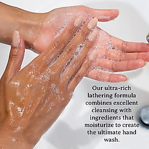 C.O. Bigelow Hand Wash, Grapefruit No.1527 - Village Perfumer Moisturizing Hand Wash for Bathroom & Kitchen with Aloe Vera, 10 fl oz