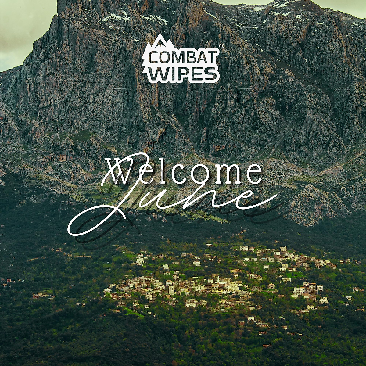 Combat Wipes ACTIVE Outdoor Wet Wipes - Extra Thick Camping Gear, Biodegradable, Body & Hand Cleansing/Refreshing Cloths for Backpacking & Gym w/Natural Aloe & Vitamin E(4 packs, 25 wipes each)