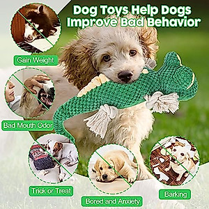 Stuffed Dog Toys, Big Dog Squeaky Toys, Plush Toys for Boredom and Stimulating, Cute Stuffing Lizards with Soft Squeaker, Fun Teething Pet Chew Toys