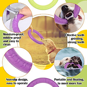 Liliful 4 Pcs Outdoor Dog Toy Dog Ring Toy Dog Flying Discs Dog Chew Toy Dog Playground Equipment for Small Medium Large Dog Training Fetching Throwing Catching Interactive Play, 4 Colors