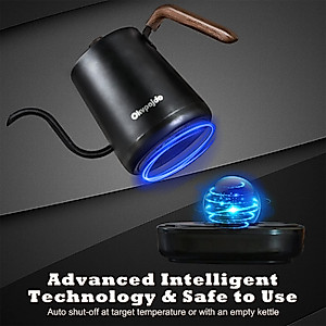 Electric Gooseneck Kettle - Pour-Over Coffee and Tea Kettle with LCD Display Automatic Shut Off - 100% Stainless Steel Kettle Water Boiler - Quick Heating Electric Kettles 0.8L - Matte Black