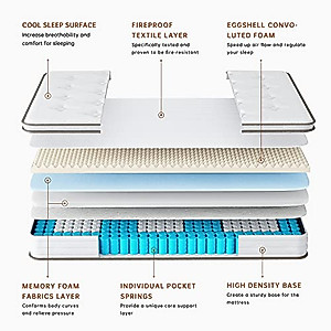 TeQsli Queen Mattress 10 Inch, Cool Eggshell Memory Foam and 7 Zone Pocket Innerspring Hybrid Mattress in a Box, Pressure Relief & Supportive Queen Bed Mattress, Breathable Cover, 100 Nights Trial