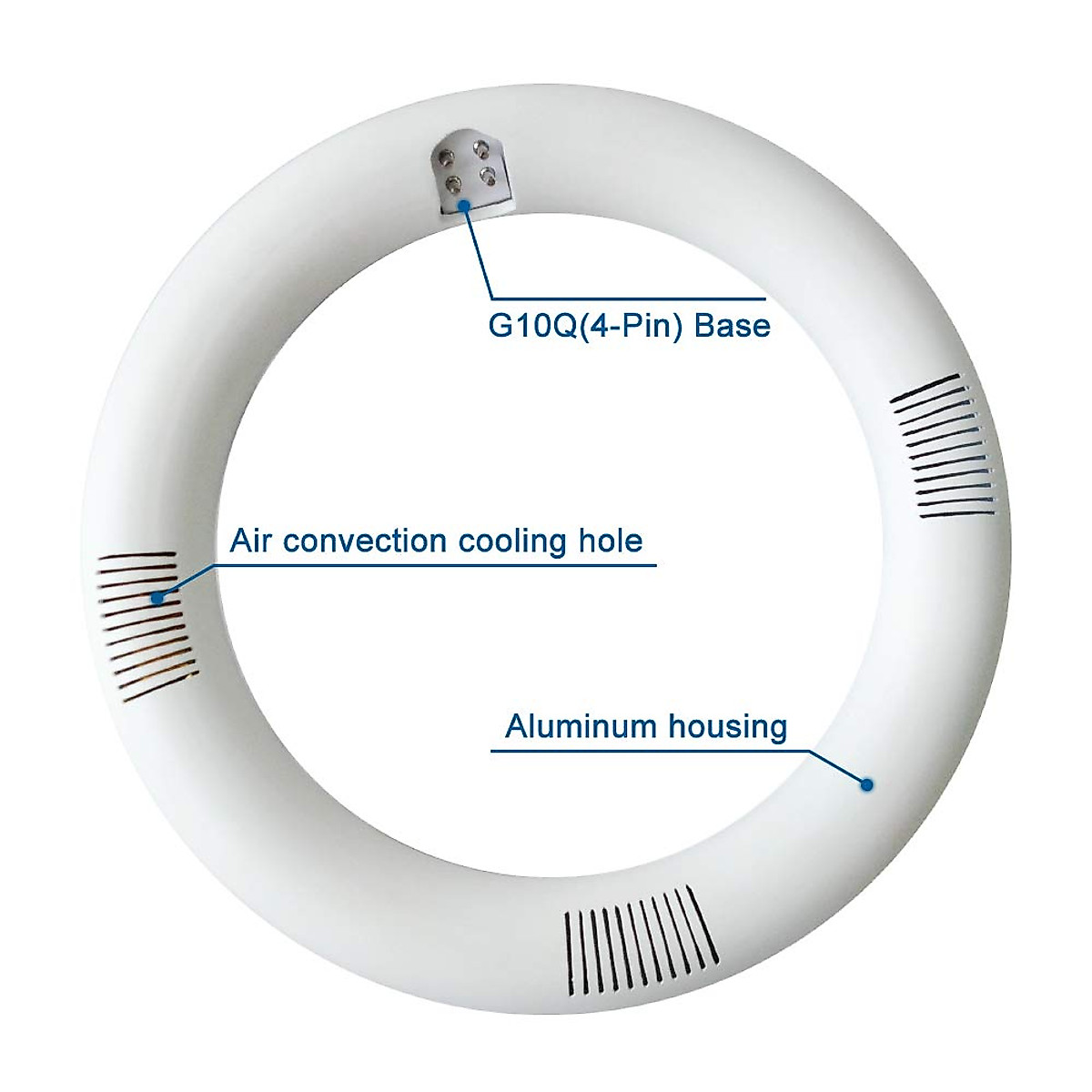 T9 LED Circline Light Bulb, 8 Inch 1600LM LED Circular Light, 13W Clear Cover 6000K Daylight Replacement for FC8T9/CW 22-Watt Fluorescent Circular Bulb(FC8T9/CW), Ballast Bypass Required