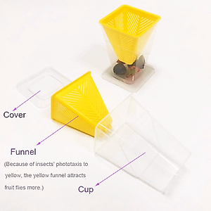 Voltup Fruit Fly Trap for Indoors Reusable with Sticky Pads Non-Toxic Funnel Fruit Fly Catcher Safe for Pets in House and Kitchen Easy to Use and Controls Fruit Flies with Natural Lure 4PCs