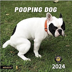 Gag Gift 2024 Wall Calendar, Funny Memes White Elephants Pooping Dogs Calendar 2024,14 Monthly Calendar, November 2023 - December 2024, 12" x 24" Opened Full Page Thick & Sturdy Paper for Organizing &